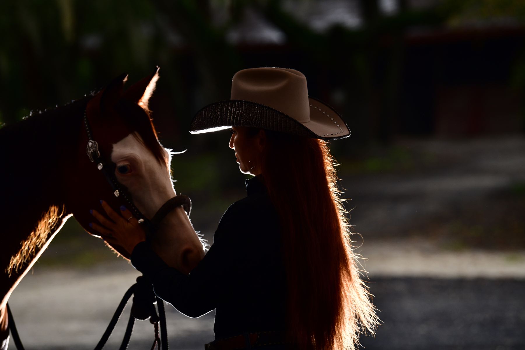 Equestrian Portraits – RG Photography